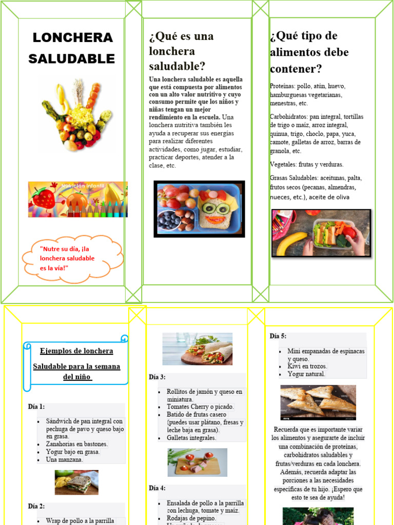 Triptico-De-Alimentacion-Saludable o | PDF