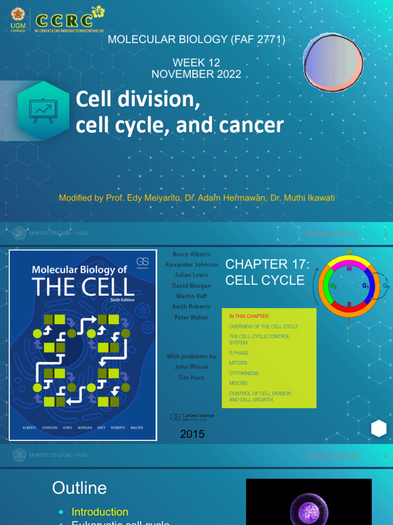 Biomol Lecture 12 Cell Cycle | PDF