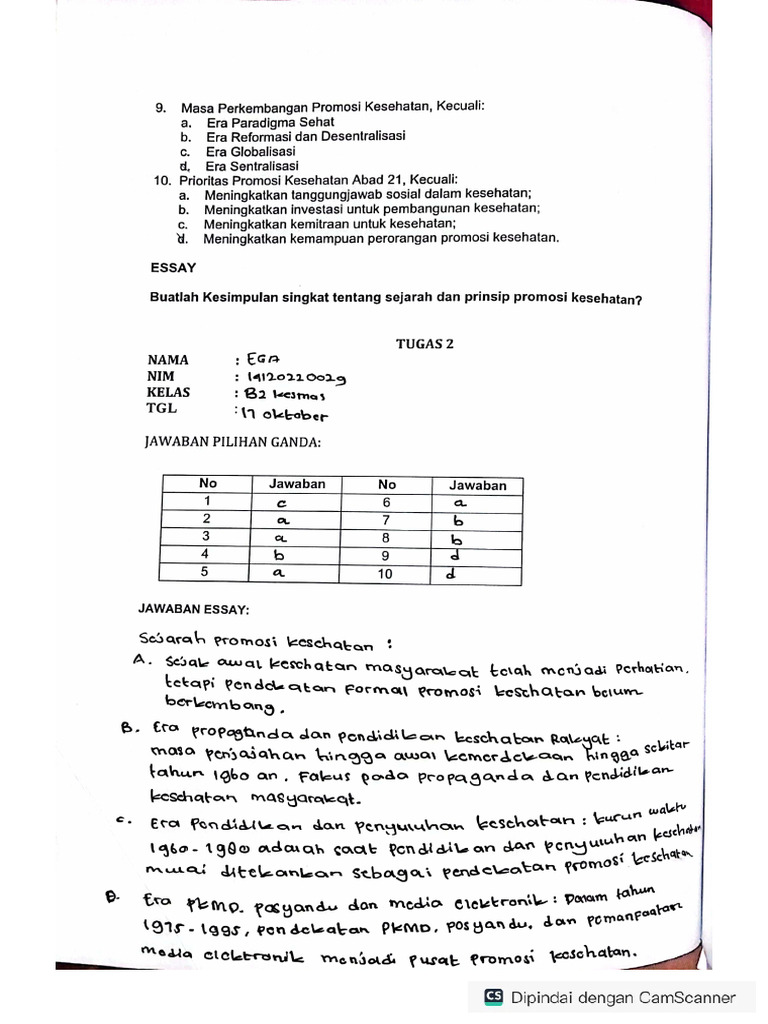 Sejarah Dan Prinsip Promosi Kesehatan (Tgs 2) | PDF