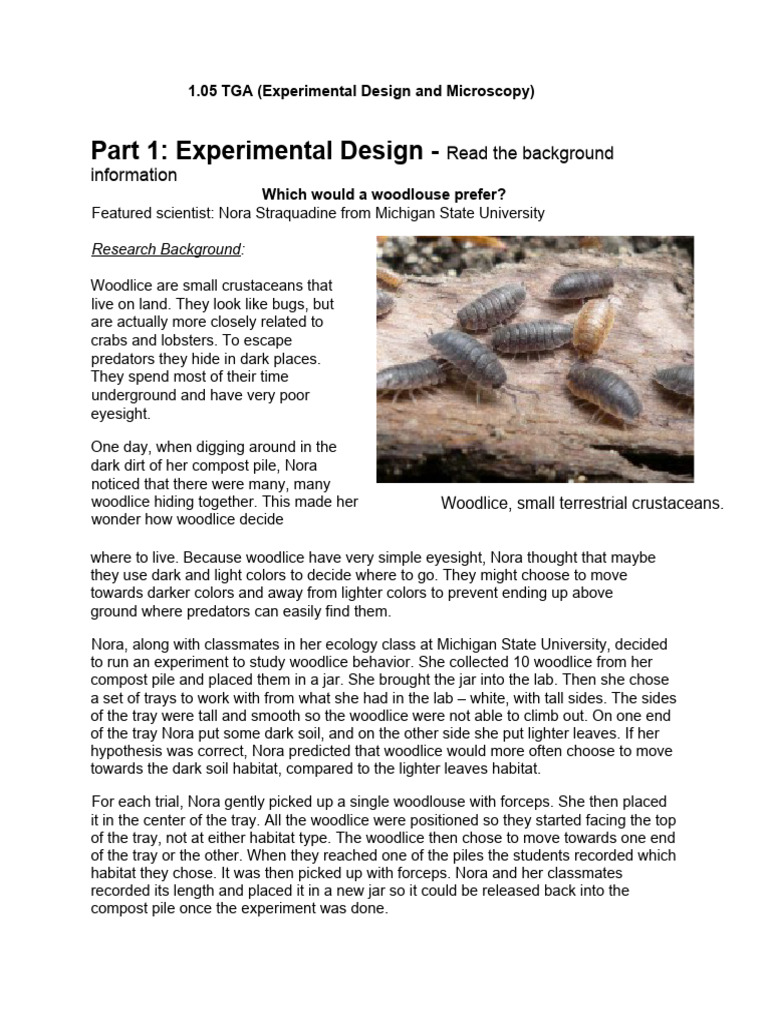 1.05 TGA (Experimental Design and Microscopy) | PDF