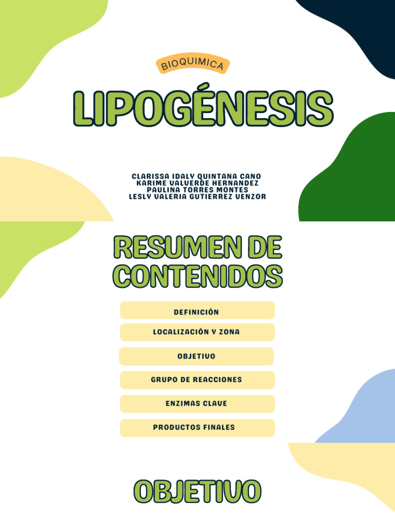 Lipogenesis | PDF