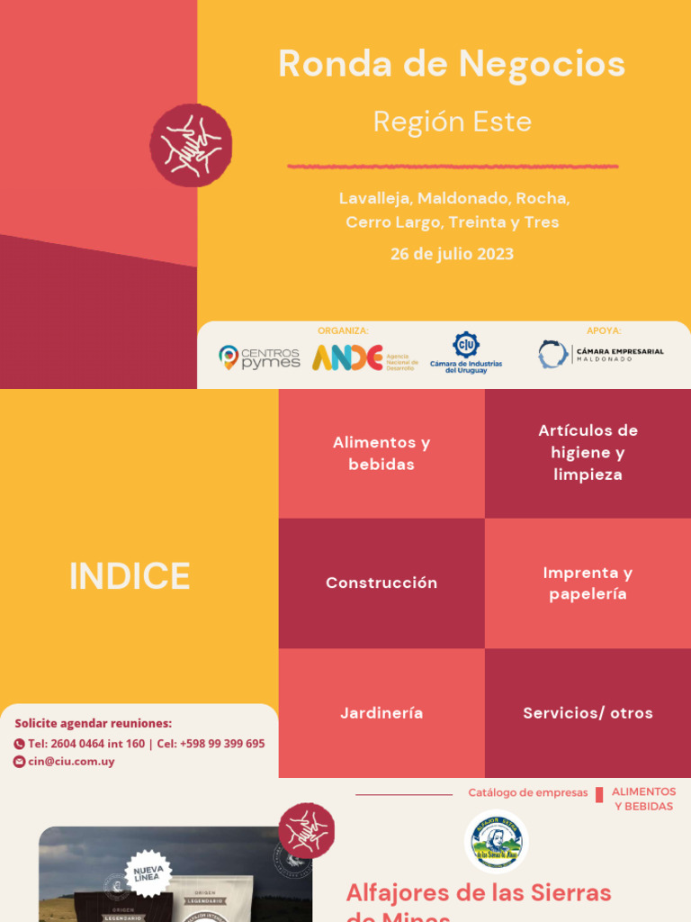 Ronda De Negocios RegiÃ N Este Final 2023 Ande Pdf