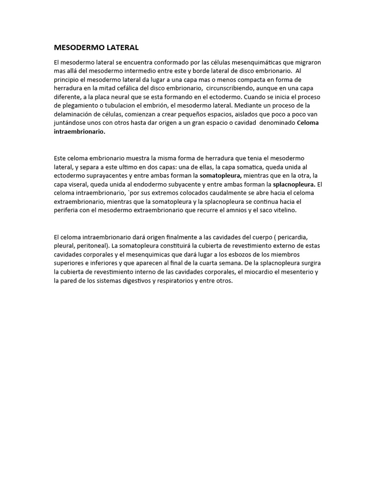 Mesodermo Lateral | PDF
