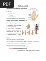 Zonas y Túneles de la Muñeca y Mano | PDF | Mano | Sistema ...