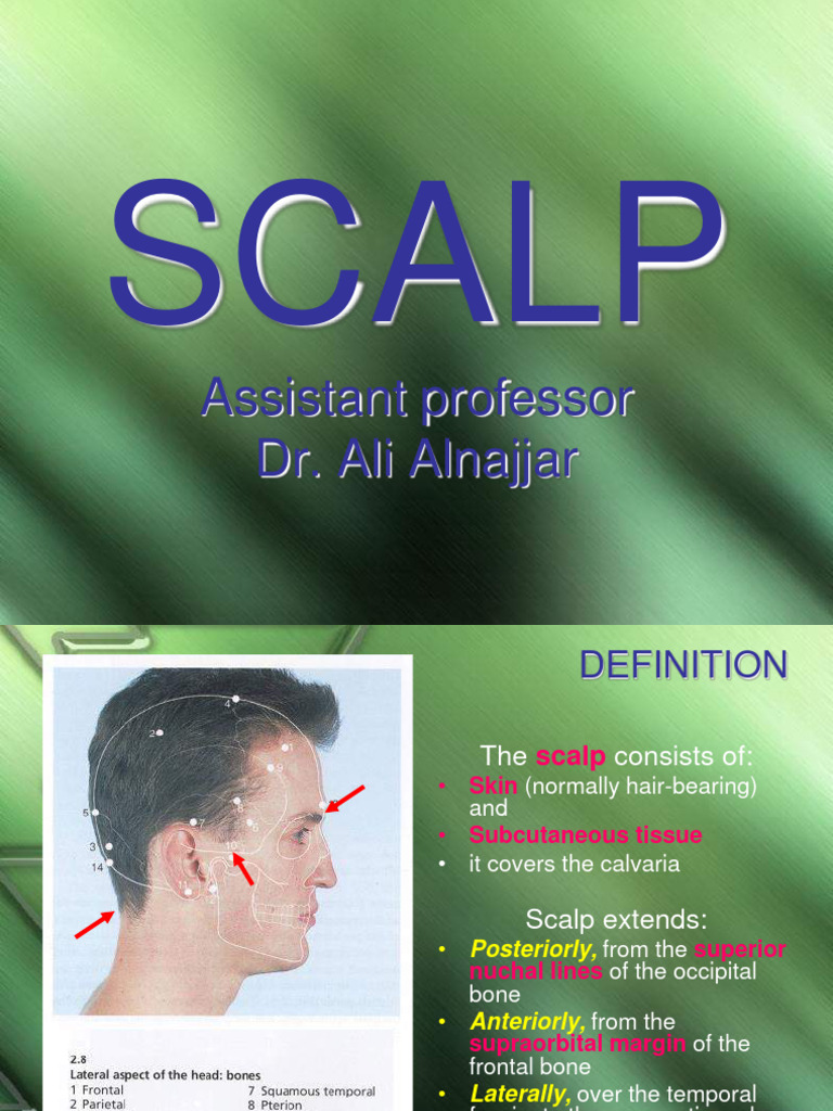Scalp | PDF