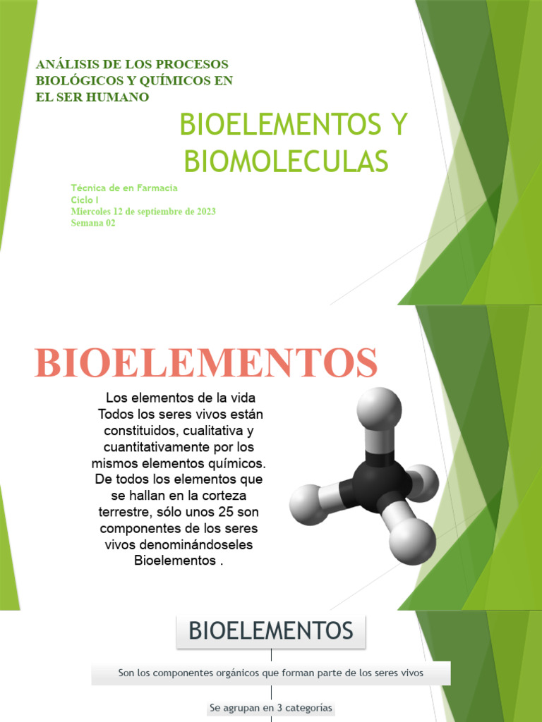 Bioelementos y Biomoleculas | PDF