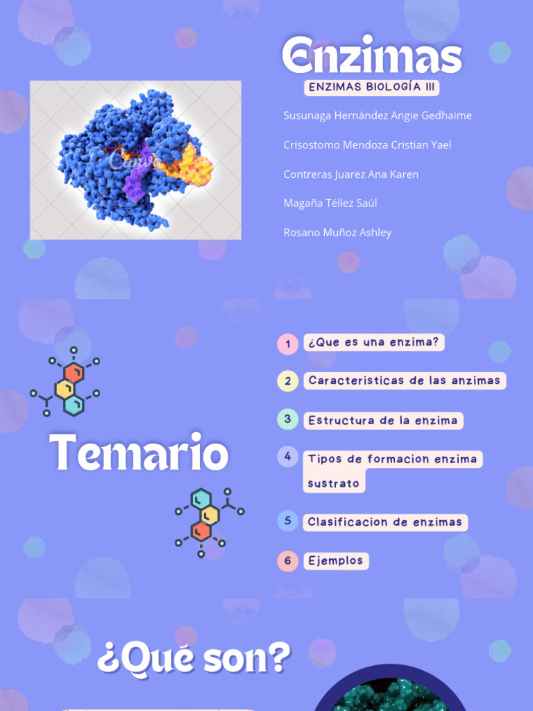 ENZIMAS | PDF | Enzima | Sustrato (Química)