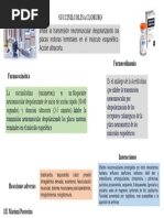 Bupirop 0 5 Pesado X 24 4 ML Ampoulepack | PDF | Terapia intravenosa ...