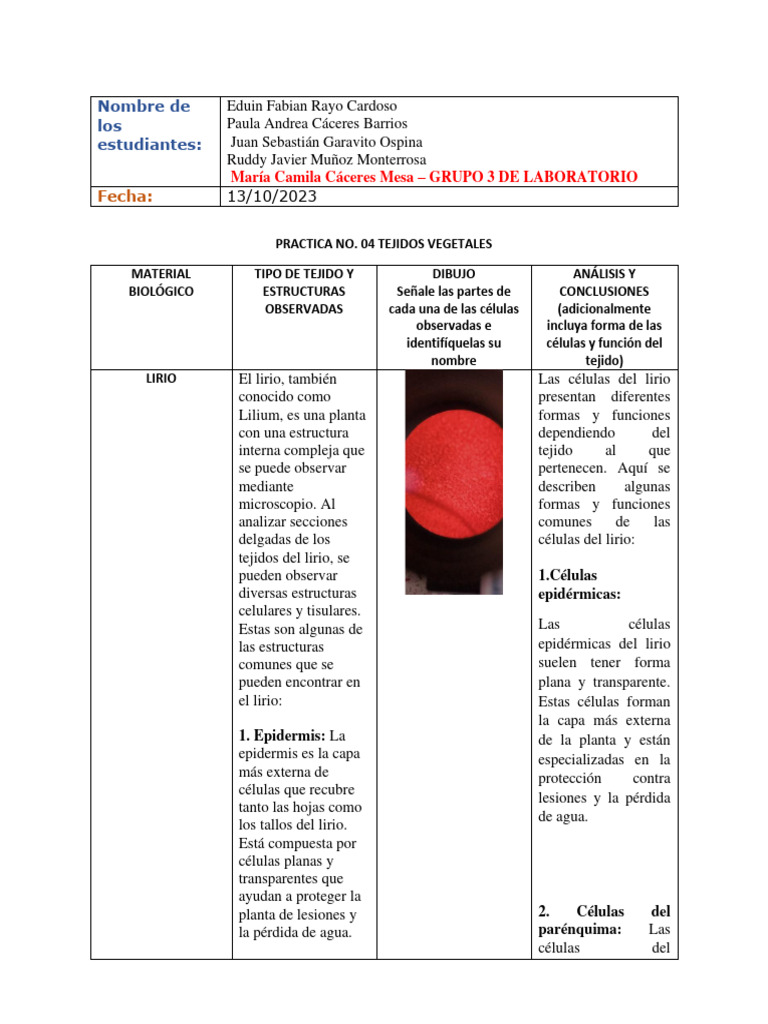 Formato Entrega Practica 4 y 5 | PDF