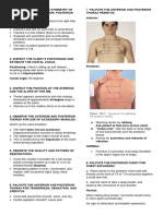 Common Pediatric Terminology | PDF | Lung | Abdomen