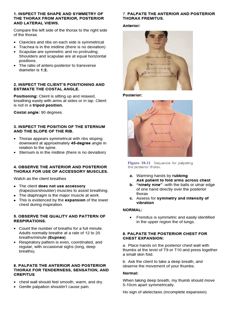 Chest and Lungs RD Final | PDF