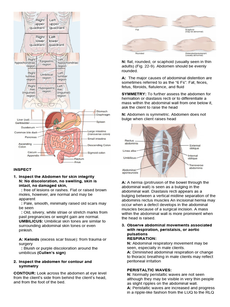 ABDOMEN | PDF