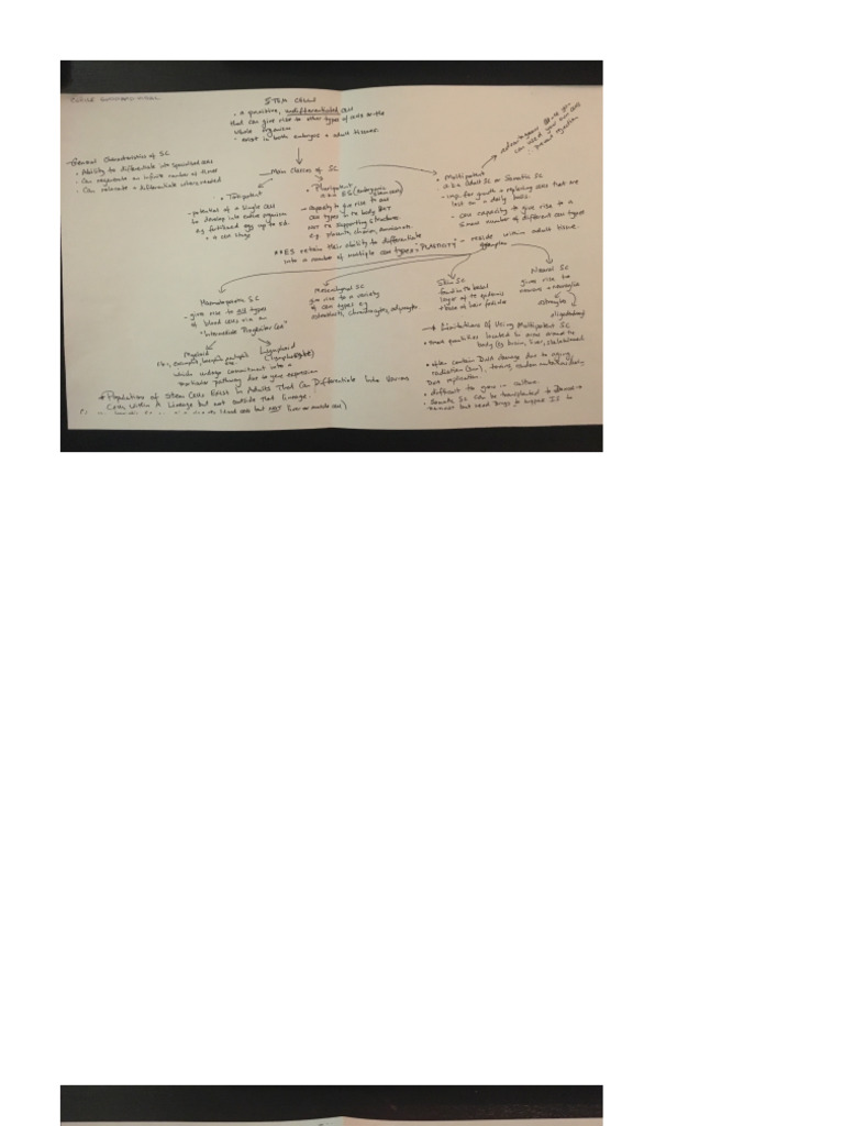 Stem Cell Flow Chart Summary-Key Aspects | PDF