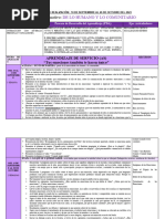 Niveles de Escritura - Miriam Nemirovsky | PDF