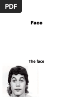 Facial Muscles Lateral View Diagram | PDF | Soft Tissue | Human Anatomy