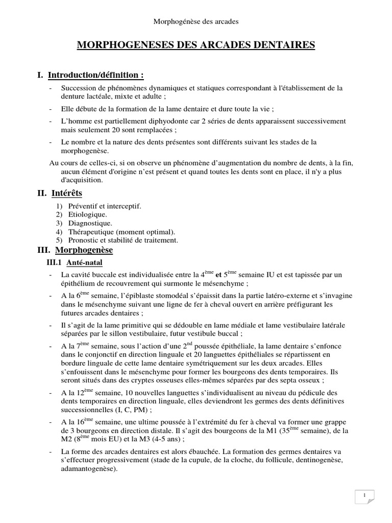 Morphogenèse Des Arcades | PDF