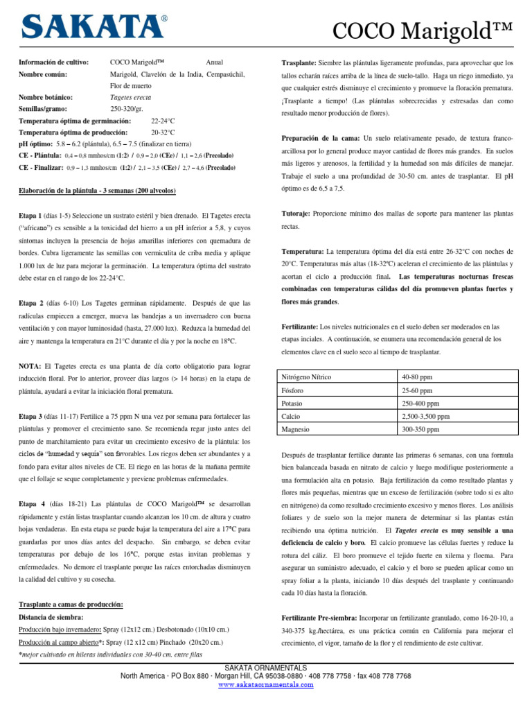 Marigold COCO Espanol 0921 SAKATA | PDF | Hogar, jardinería y bricolaje