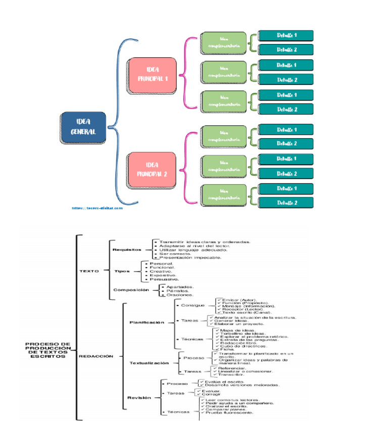 Cuadro Sinóptico | PDF