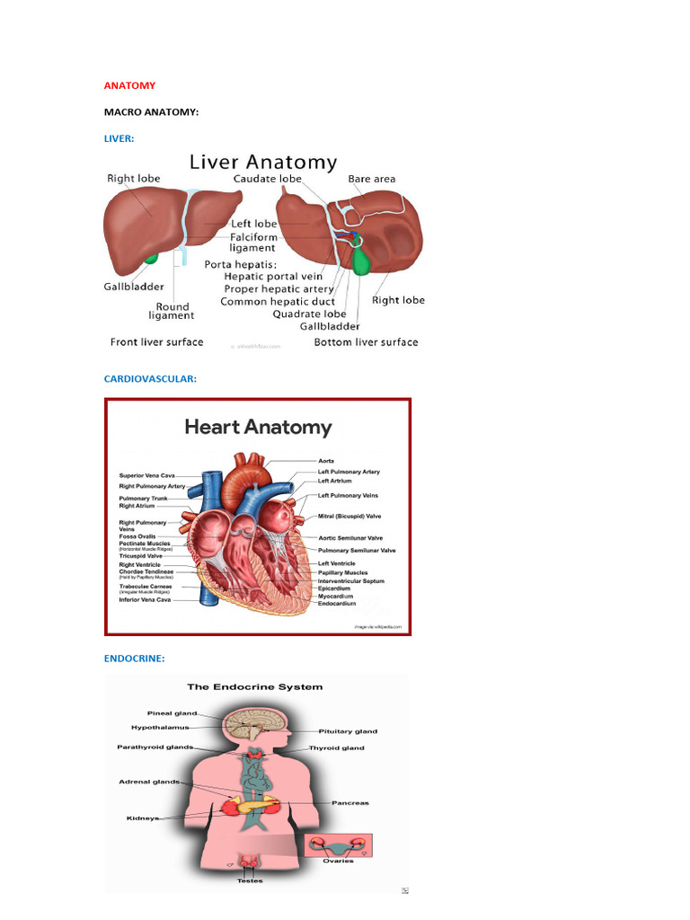 Case Study Preeclampsia | PDF