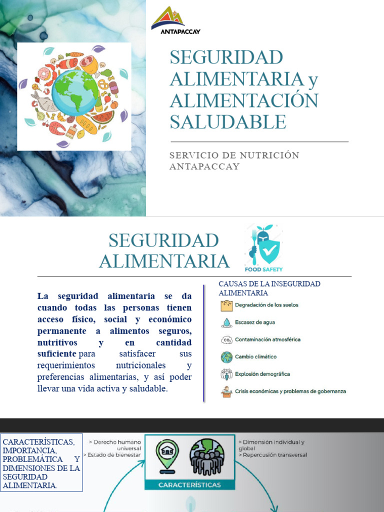 Seguridad Alimentaria y Nutrición Saludable | PDF | Alimentos | Nutrición