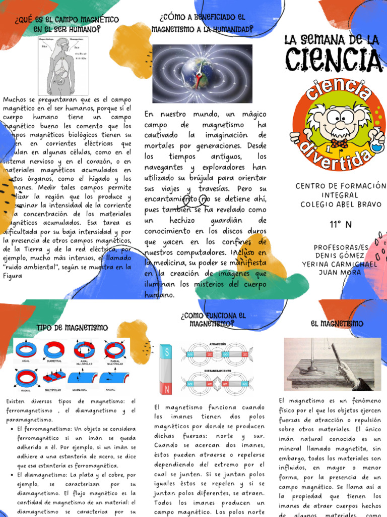 La Semana de La Ciencias-El Magnetismo | PDF