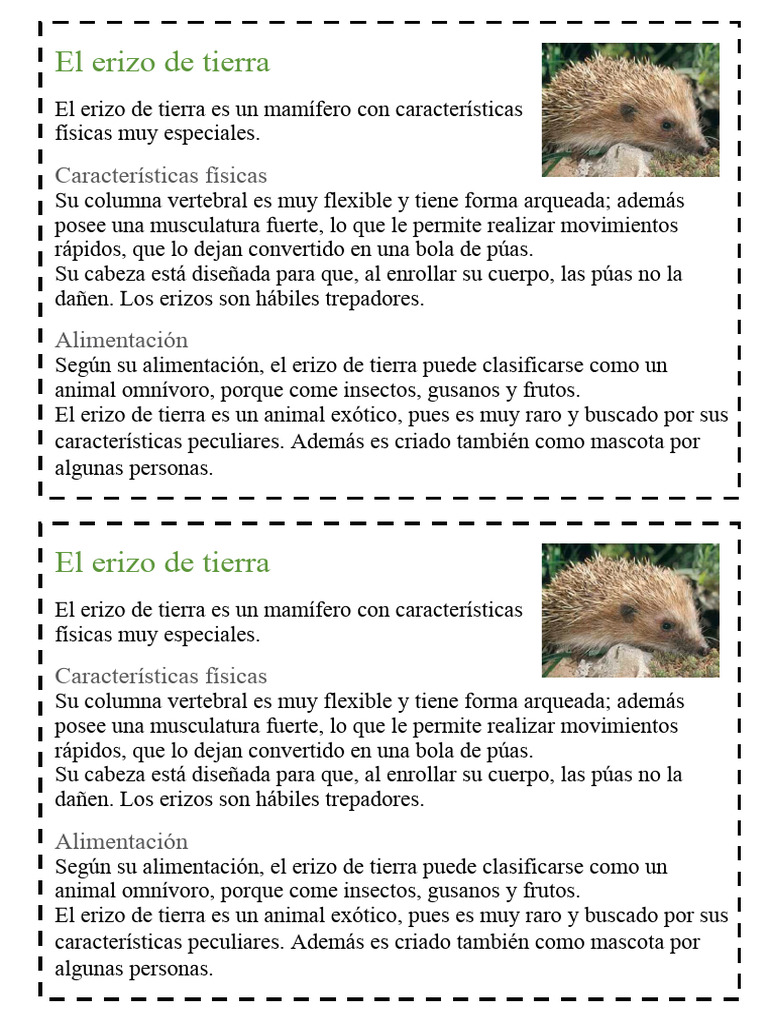 El Erizo de Tierra FICHA TEXTO INFORMATIVO PINTA LAS PARTES DE | PDF