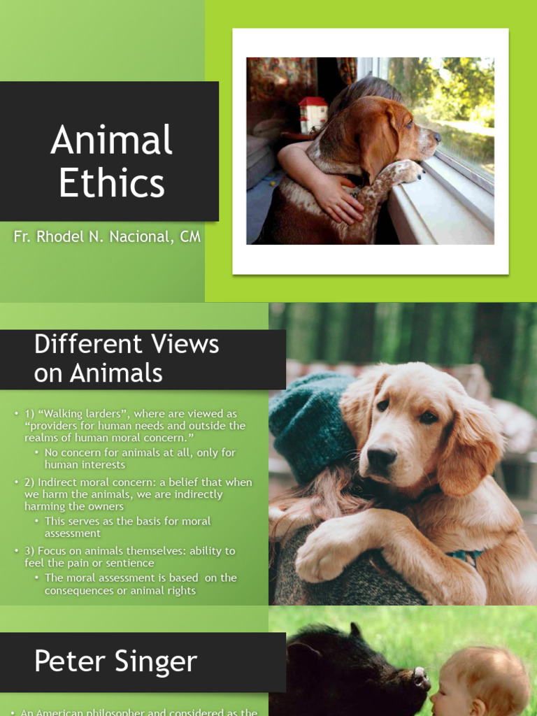 Animal Ethics | PDF | Social Science