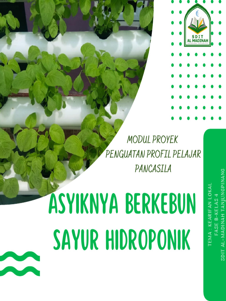 Modul P5 Hidroponik | PDF