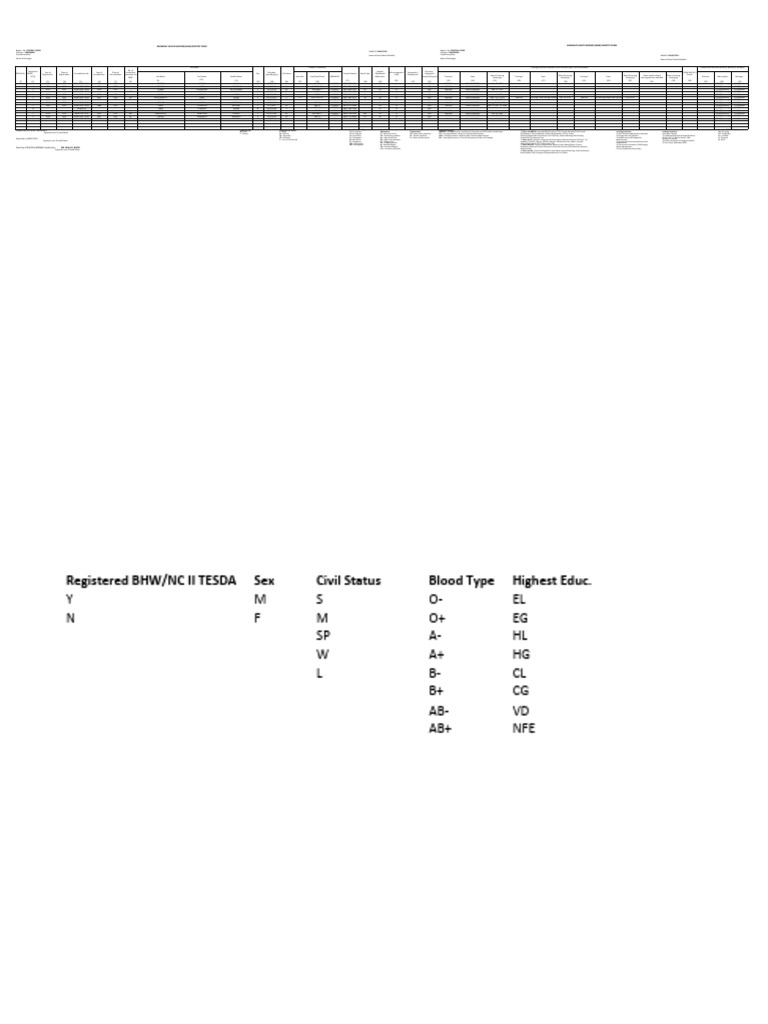 Template BHW Registry Form 2023 | PDF | Chronic Condition | Respiratory ...