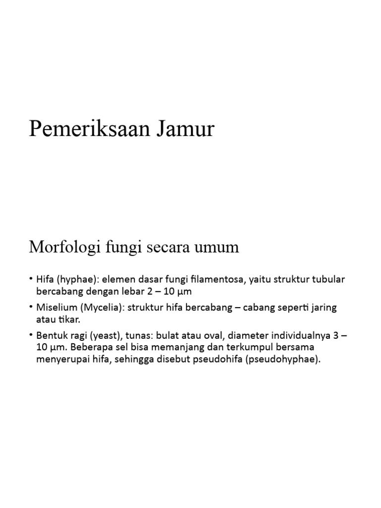 Pengantar Praktikum Jamur | PDF