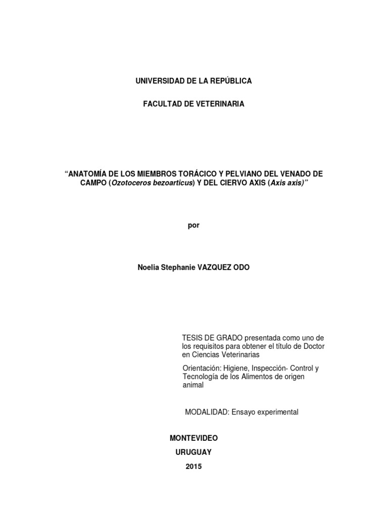 Anatomía de Los Miembros Torácico y Pelviano Del Venado de Campo | PDF ...