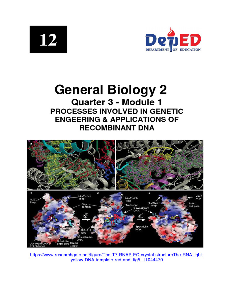 3rd Grading Gen Bio2 MOD1 PDF | PDF