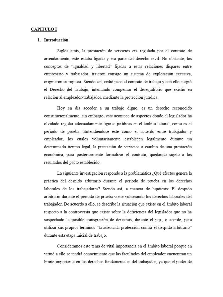 Capitulo I Introduccion | PDF