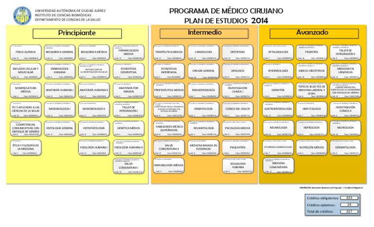MAPA CURRICULAR PLAN 14 Médico Cirujano | PDF