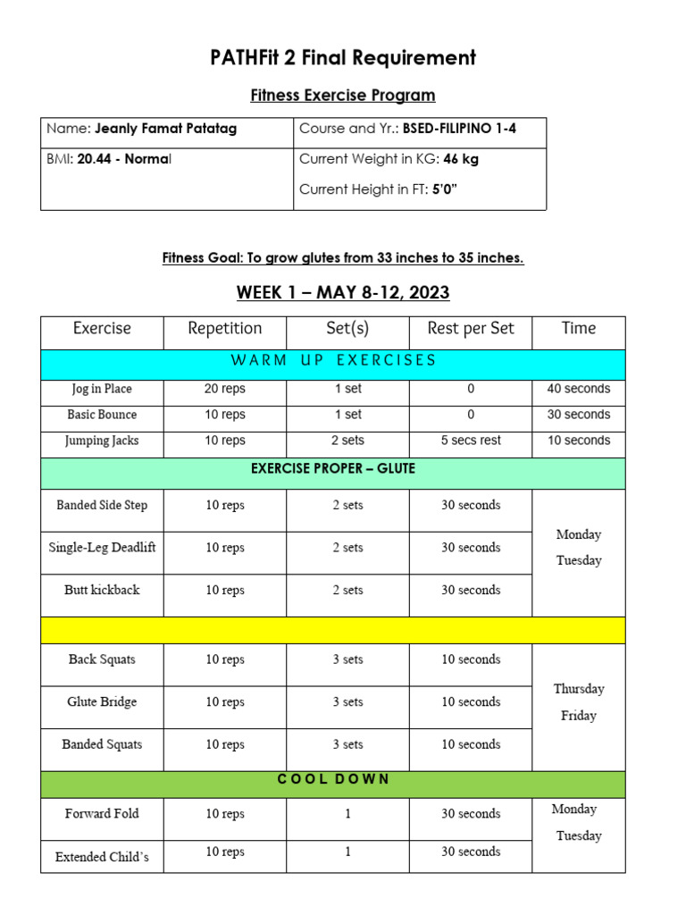 PATHFit 2 Final Requirement Fitness Plan | PDF