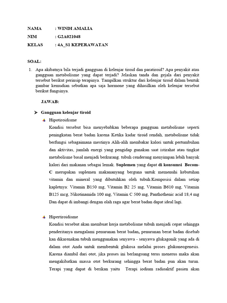 4A - G2A021048 - WINDI AMALIA - Tgs Pak Satrya | PDF