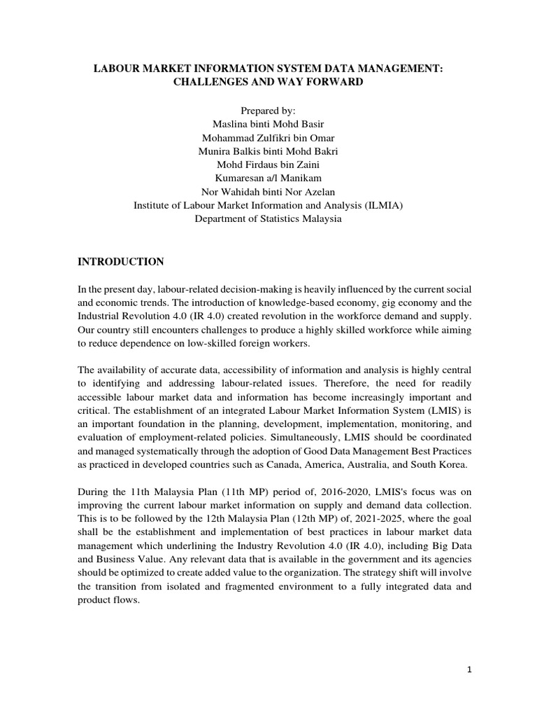 Labour Market Information System Data Management | PDF