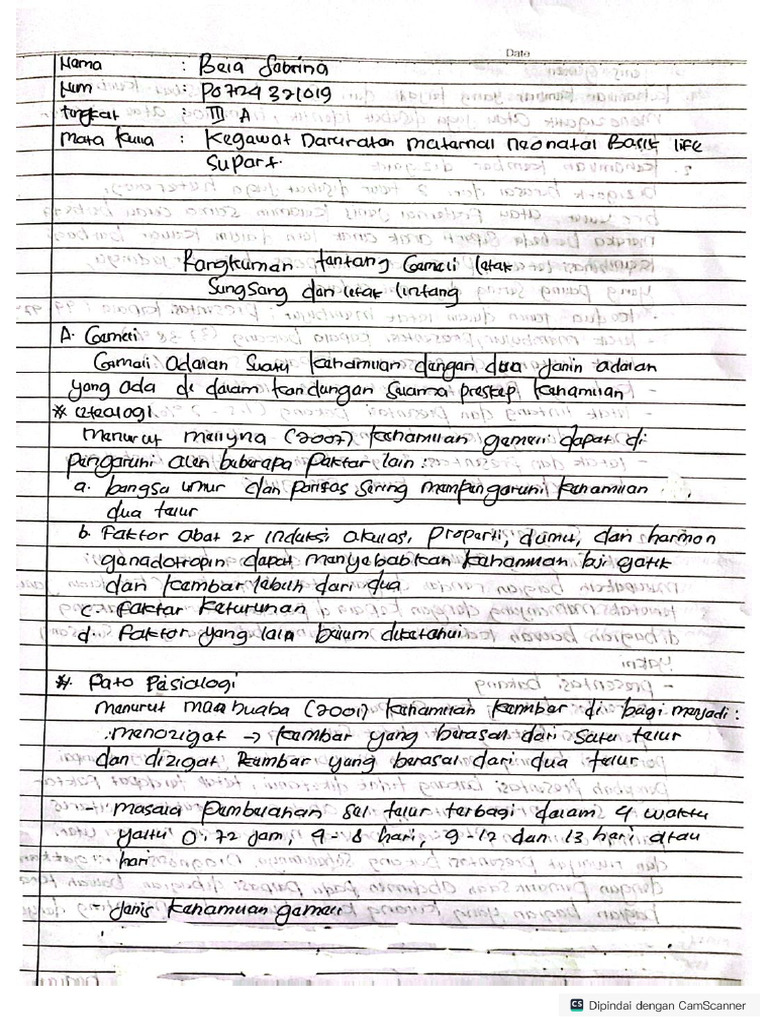 Resume Bella Sabrina | PDF