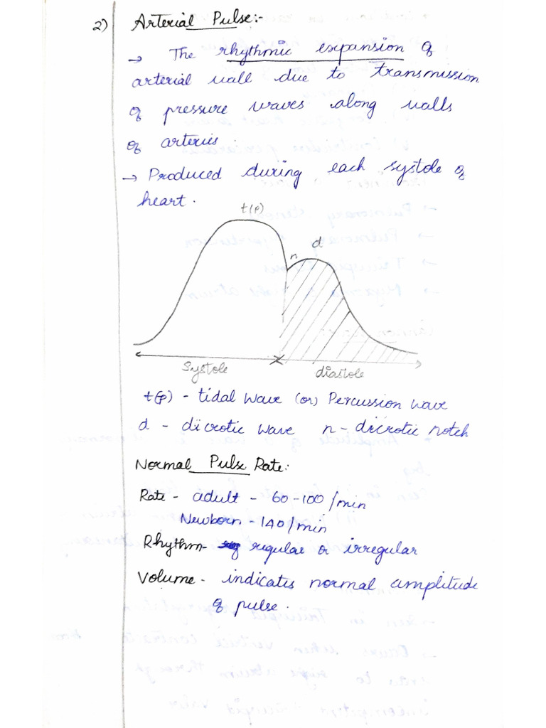 Arterial Pulse Physiology | PDF