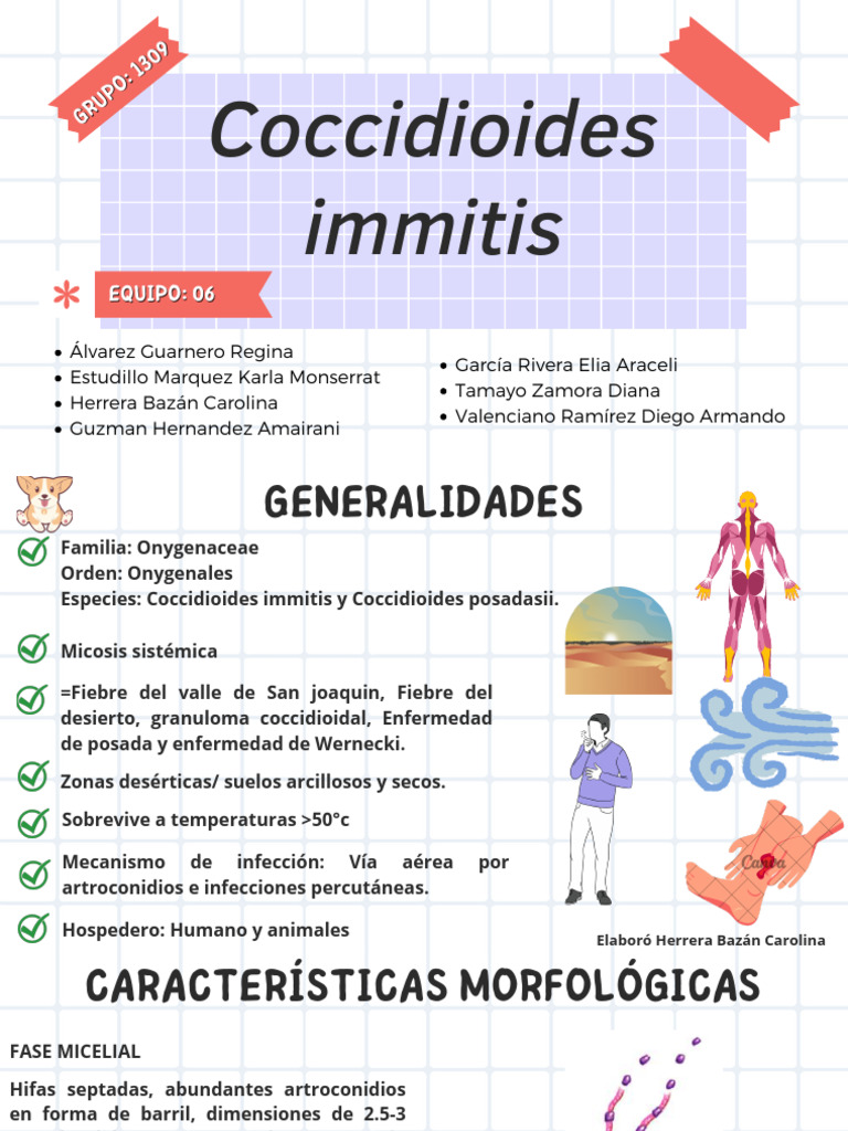 Coccidioides immitis | PDF | Sistema inmune | Biología