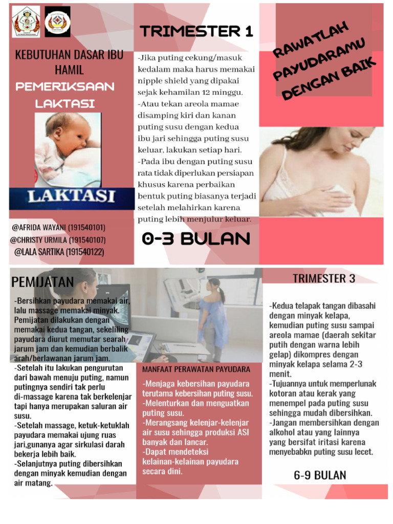 Leaflet Laktasi Presentasi | PDF