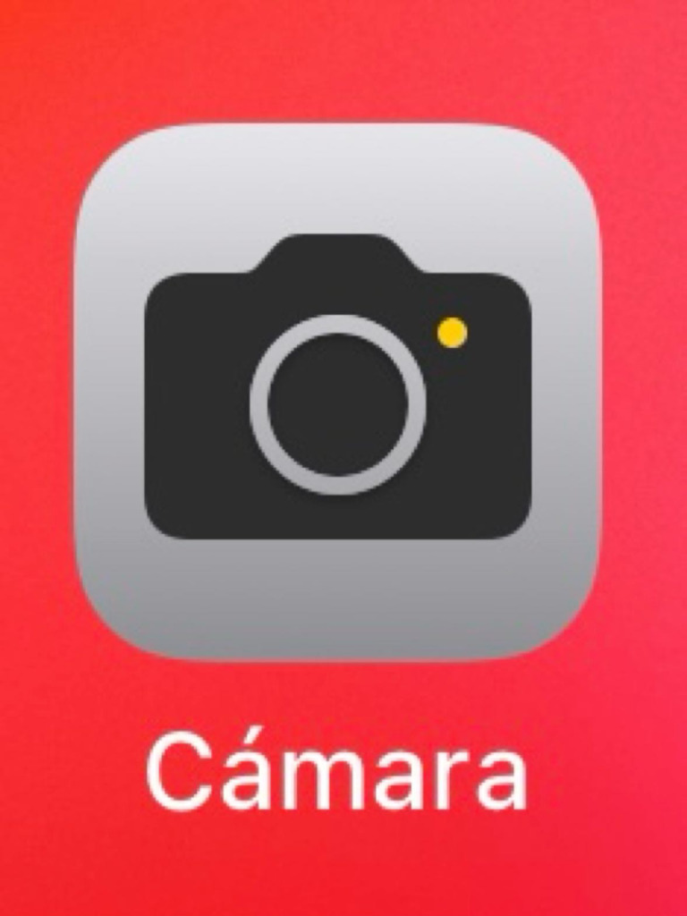 Proyecto Compu | PDF