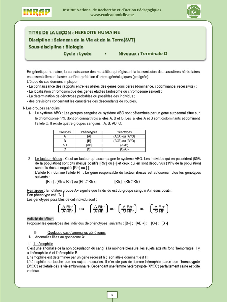 SVT-TD - Heredite Humaine | PDF