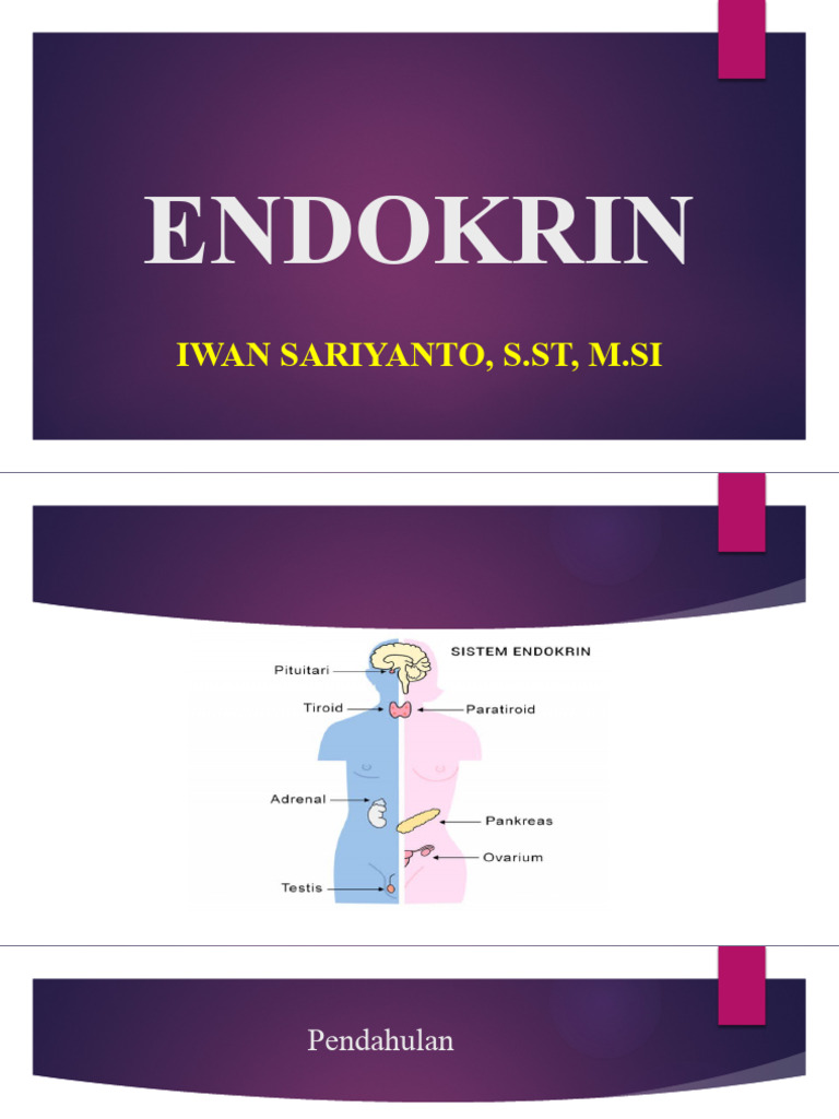 ENDOKRIN | PDF