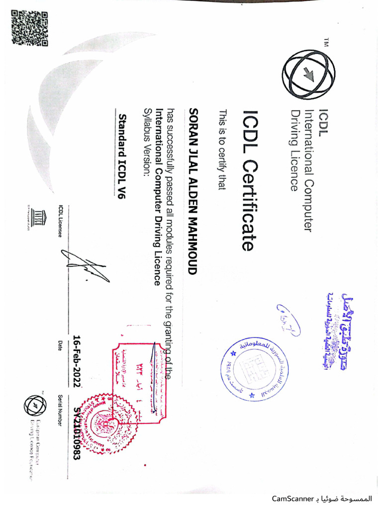 Icdl Pdf
