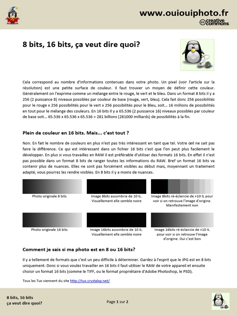 Bits | PDF