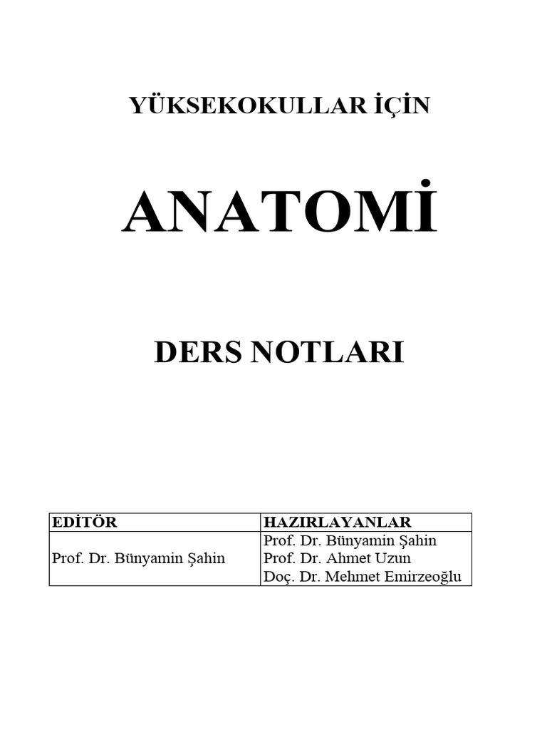 Anatomi Ayrıntı | PDF