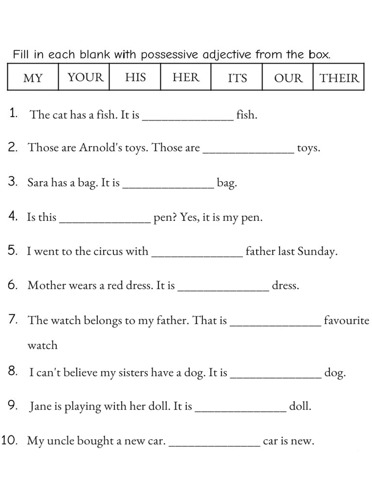 Possessive Adjectives - Exercise 3 | PDF
