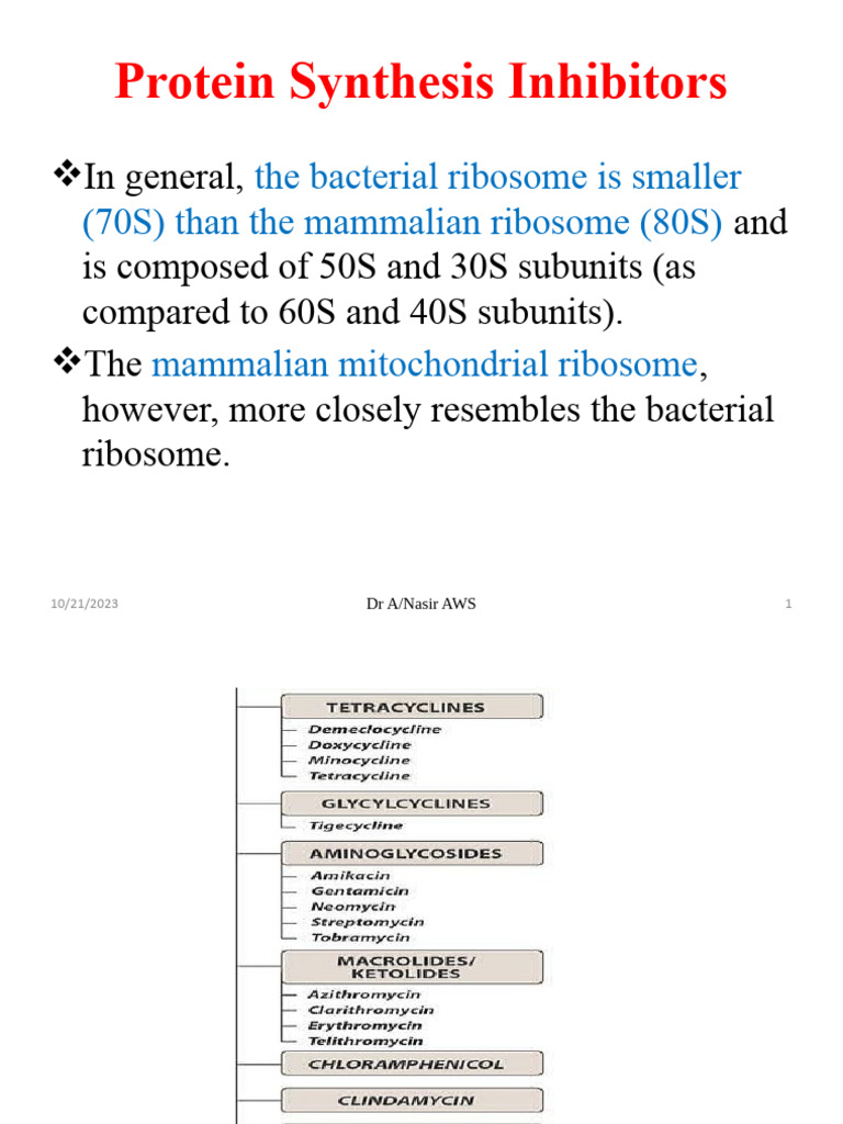 Protein Synthesis Inhibitor | PDF