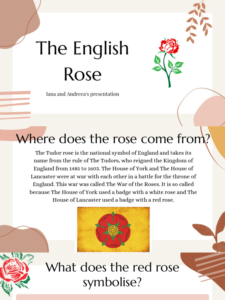 Rose-The Symbol of England | PDF